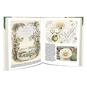 Plants: From Roots to Riches