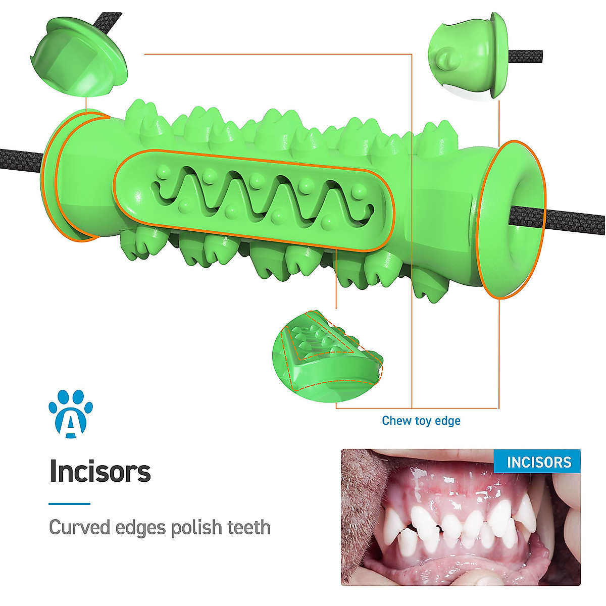 ANYPET Dog Chew Toothbrush Toy, Chew Dog Toy Squeaky Teeth Cleaning Toy for Aggressive Chewers Large Breed Indestructible Tough Dog Toothbrush Stick for Medium to Large Dogs