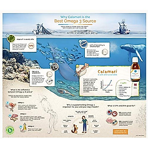 Dr. Dobias - Feelgood Omega Oil for Dogs, Calamari Oils, Non-Fish Liquid Omega 3 Fatty Acids for Dogs, for Coat, Joint & Immune Health, 6.7 fl Oz