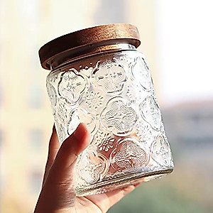 HolaJia Glass Jar with Lid – 24oz Glass Storage Containers – Premium Jars with Airtight Lids for Coffee, Rice, Sugar – Decorative Cookie Jars for Kitchen Counter, Pantry(Begonia flowers)