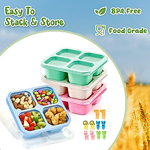 Bento Snack Boxes 4 Pack, Reusable Bento Boxes Kids Adults with 4 Compartments & Fork, Lunch Snack Containers, Wheat Straw Meal Prep Lunch Box, Divided Food Storage Containers for School Work Travel