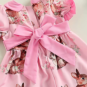Toddler Baby Girl Bunny Dress Easter Outfit Ruffle Sleeve Peter Pan Collar Princess Dress Cute Easter Clothes (2-3T,Bunny Print)
