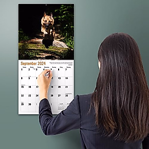 MICASA German Shepherds 2024 Wall Calendar 12 Month | 12" x 24" Open | Thick & Sturdy Paper | Giftable | Calendar 2024