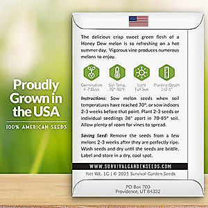 Survival Garden Seeds - Honeydew Melon Seed for Planting - Packet with Instructions to Plant and Grow Light Green Honey Dew Melons Your Home Vegetable Garden - Non-GMO Heirloom Variety