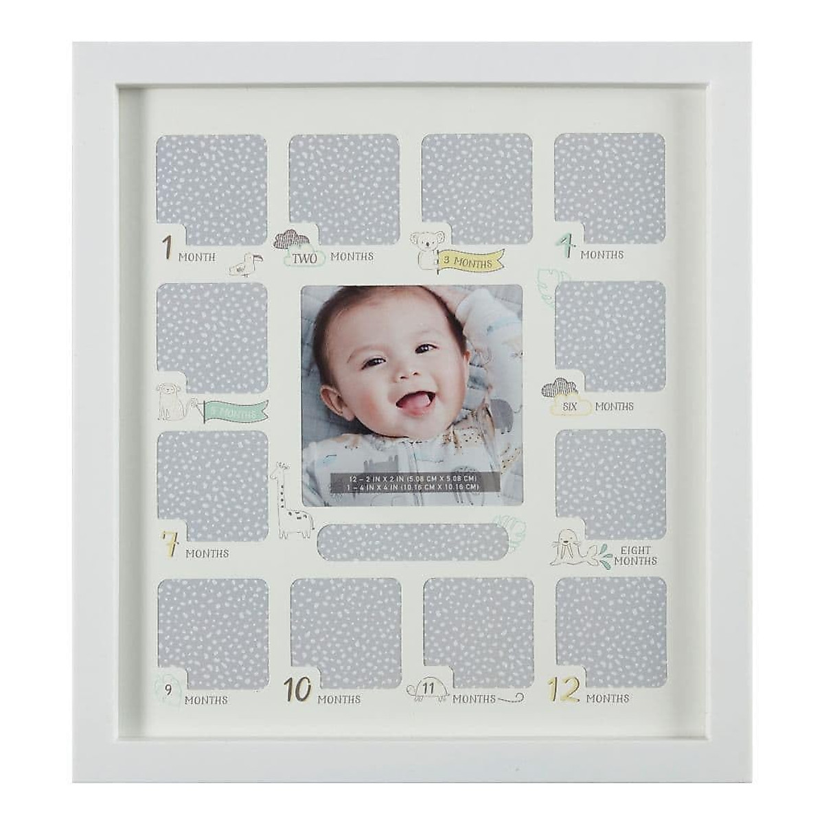 Carter's BFP7-23287 Gender Neutral Baby's First Year Picture Frame and Baby Month Stickers, 12'' W x 13.2'' H, 13pcs