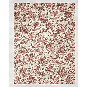 Red Toile Throw Blanket,Fleece Blanket with The 1800's Toile Print, Mid-Century décor (L 150X130 CM / 60X50)