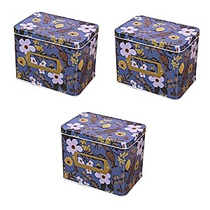 Abaodam 3 Pcs Label Finishing Box Empty Cookie Tin Metal Container Food Jars with Cookie Jar Coffee Bean Canister Valentines Day Gift Tins Kitchen Jars Iron Sheet Old Fashioned Tinplate