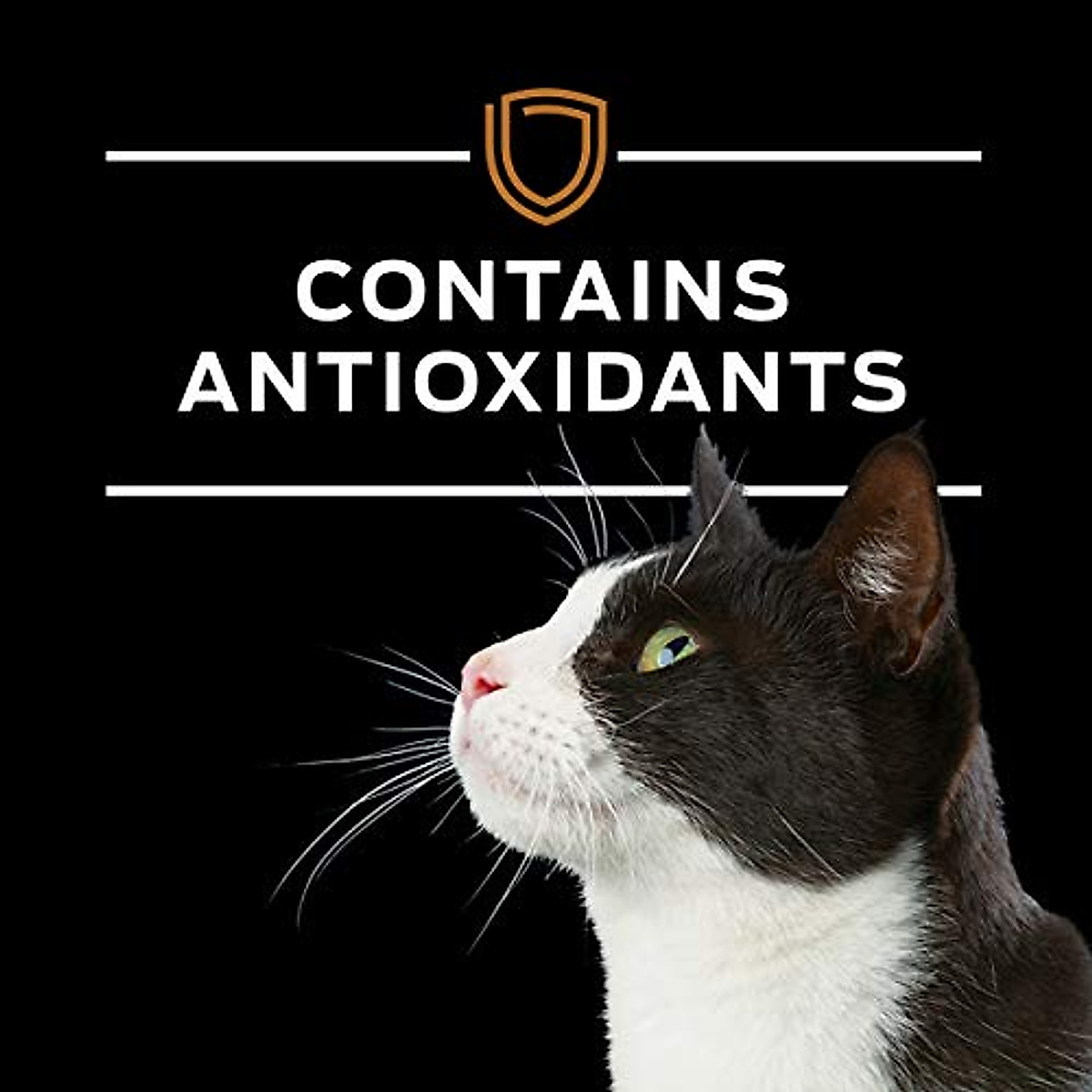 Purina Pro Plan Veterinary Diets NF Kidney Function Advanced Care Feline Formula Adult Dry Cat Food - 8 lb. Bag