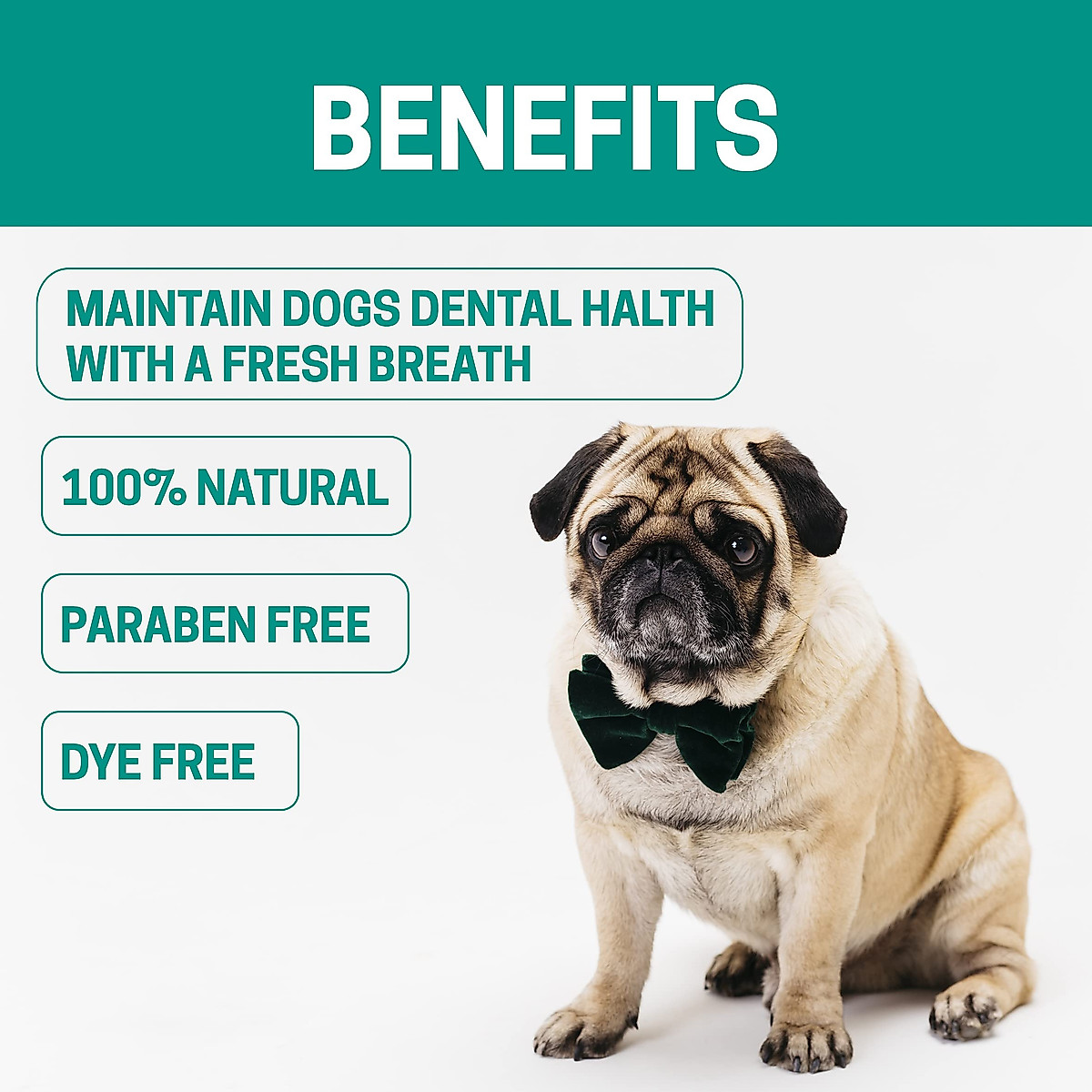 GREEN COAT ALL-NATURAL DOG BREATH FRESHENER SPRAY, Pet Water Additive, Teeth & Gum Spray for Dogs, Dog Dental Care for Bad Pet Breath-Oral Mouth Care, No Brushing, Easy to Apply | Made in USA | 8fl oz 237ml.