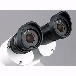 Sharp Forward Stereo Microscope 20X-40X
