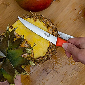 Slitzer Germany 4-Piece Kitchen Knife Set - German Stainless Steel Blades & Colorful Handles - Utility, Paring, Vegetable, & Beak Carving Knives