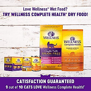 Wellness Complete Health Gravies Grain Free Canned Cat Food, Chicken Dinner, 3 Ounces,Count 12(Pack of 1)