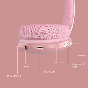 Gabba Goods Wireless Over Ear Bluetooth Headphones with Microphone - Wireless Headset -Noise Reduction - Bluetooth, Wired,Built in Micro SD for Travel, Home, Work TV,PC,Gaming,Cellphone (Pink)
