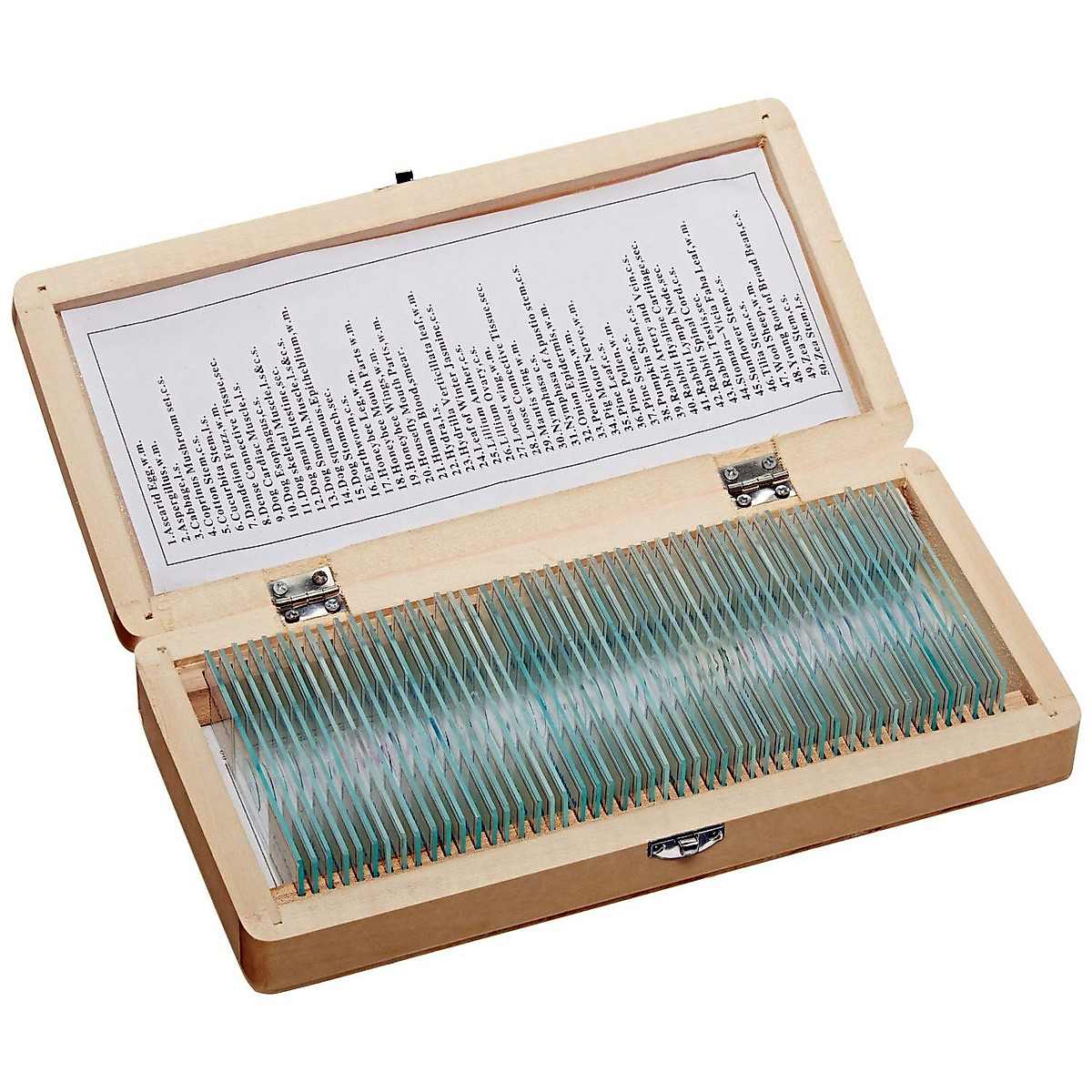 AmScope PS50A Prepared Microscope Slide Set for Basic Biological Science Education, 50 Biology and Pathology Slides, Includes Fitted Wooden Case
