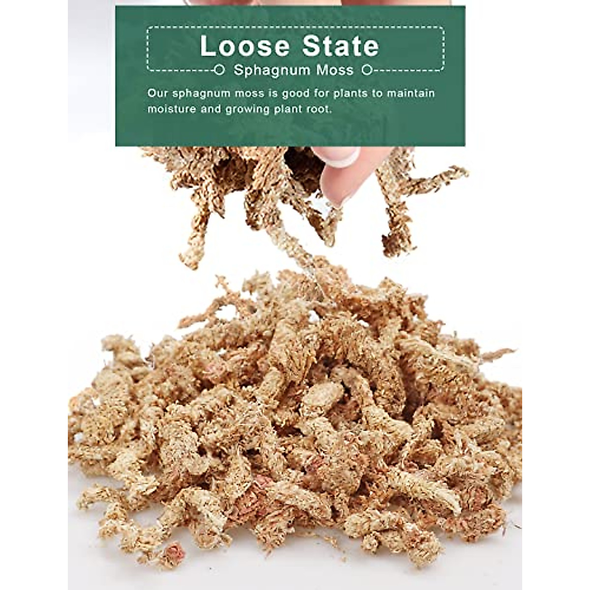 Orchid Sphagnum Moss, 2qt Succulent Dried Moss, Garden Bonsai Pot Mix, Moisture-Holding Plant Growing Medium for Flowers Plant Pot and Reptiles