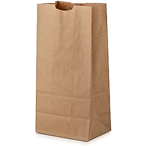 Black Duck Brand Kraft Paper Lunch Bags (30 Bags)