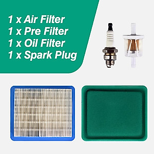491588s Flat Air Filter Cartridge Spark Plug Replace 493537 493537s