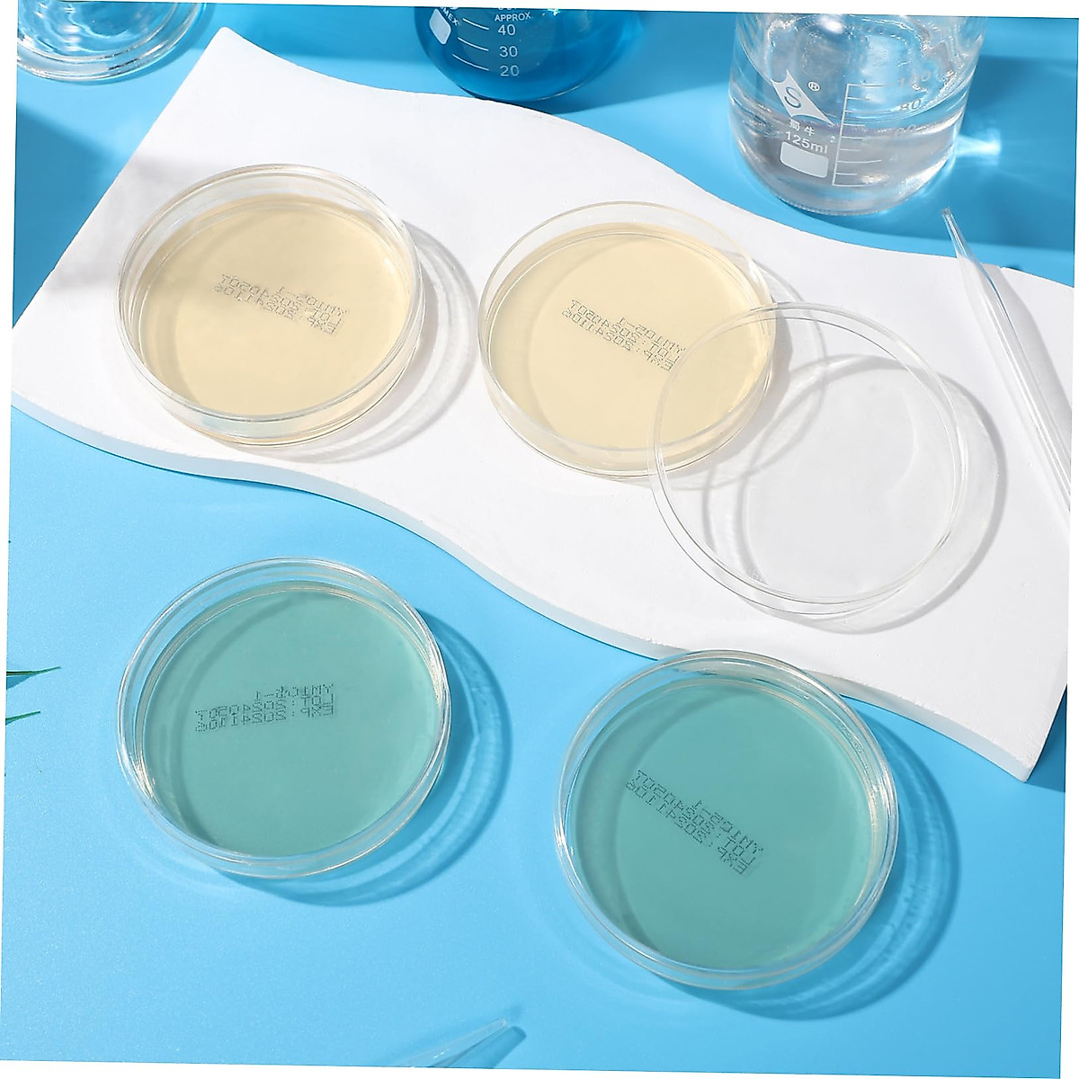 Healeved Prepoured Agar Plates 10pcs 7cm Agar Petri Dishes Science Experiment Supplies for Mushroom Cultivation and Science Fair Projects