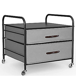 EazeHome Rolling Cart, Rolling Storage Cart, Mini Fridge Cart with Storage, Mini Fridge Table, Rolling Cart with Drawers, 2 Tier Utility Cart on Wheels, 2 Drawer Storage Organizer for Dorm
