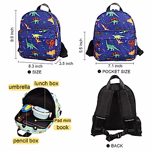 BIGHAS Lightweight Toddler Kids Backpack with Chest Strap For Boys and Girls, Preschool Kindergarten 3-6 Years Old 30 Colors (Trex/Blue)