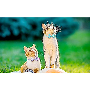 IDOLPET 4PCS Cat Collar Small Floral Cat Collar Safety Quick Release with Bell Cat Collar Adjustable Cat Collar with Bowtie for Cat Pup Kitty
