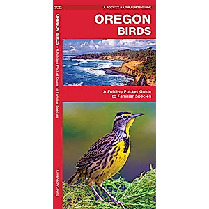 Oregon Birds: A Folding Pocket Guide to Familiar Species (Nature Observation North America)