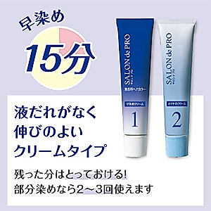 Dariya SALON DE PRO Hair Color Non Smell #4 Light Brown 4