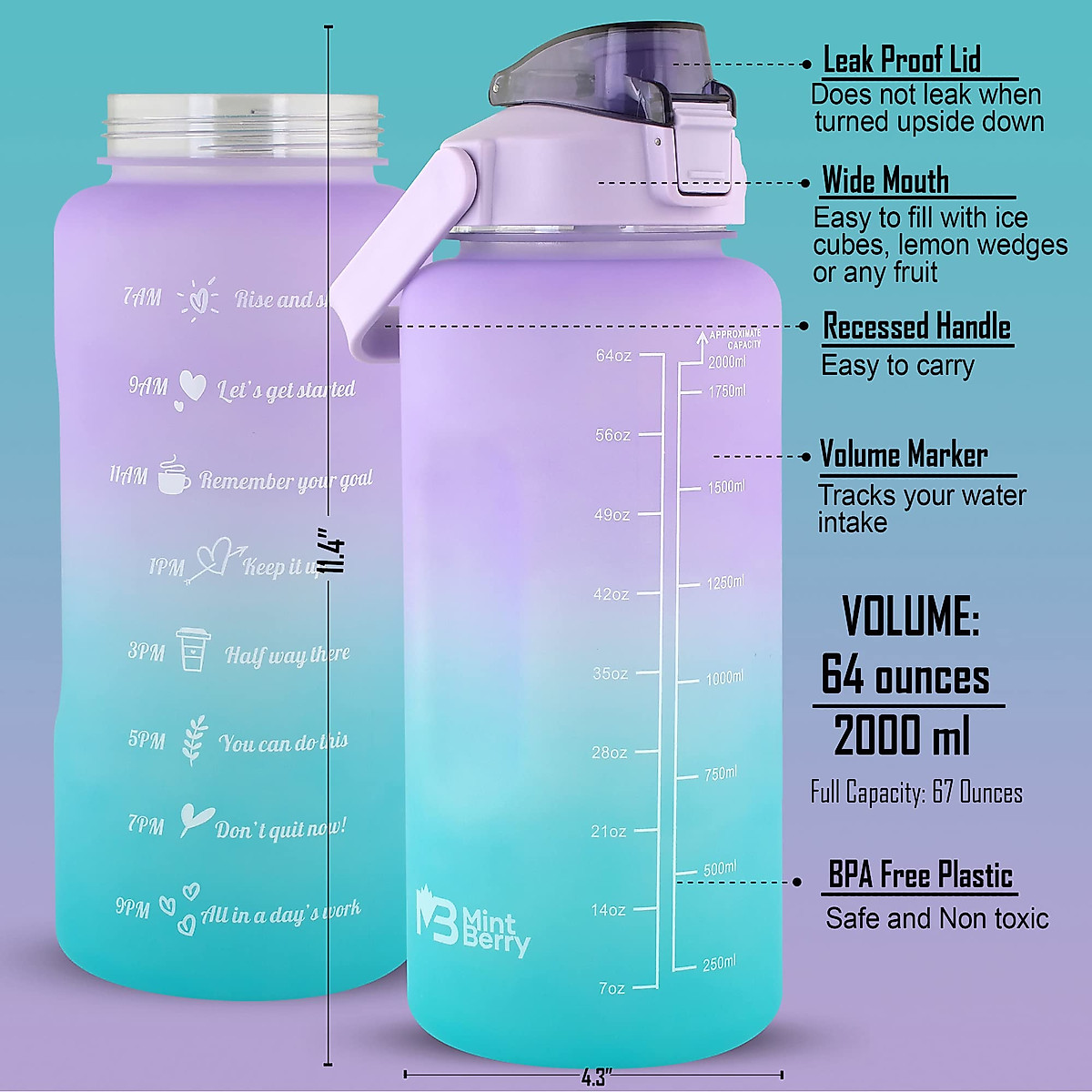 Mint Berry Half Gallon Water Bottle with Time Marker - 64 oz Water Bottle with Straw - Big Water Bottle - Large Water Bottle (Purple Mint Blue Gradient)