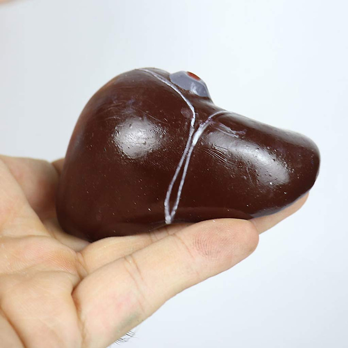 KINOFU Educational Model, Assembly Educational Model 45Cm Torso Model Human Torso Anatomical Model Decomposable Human Internal Organ Science Model for School,Education Teaching Aids