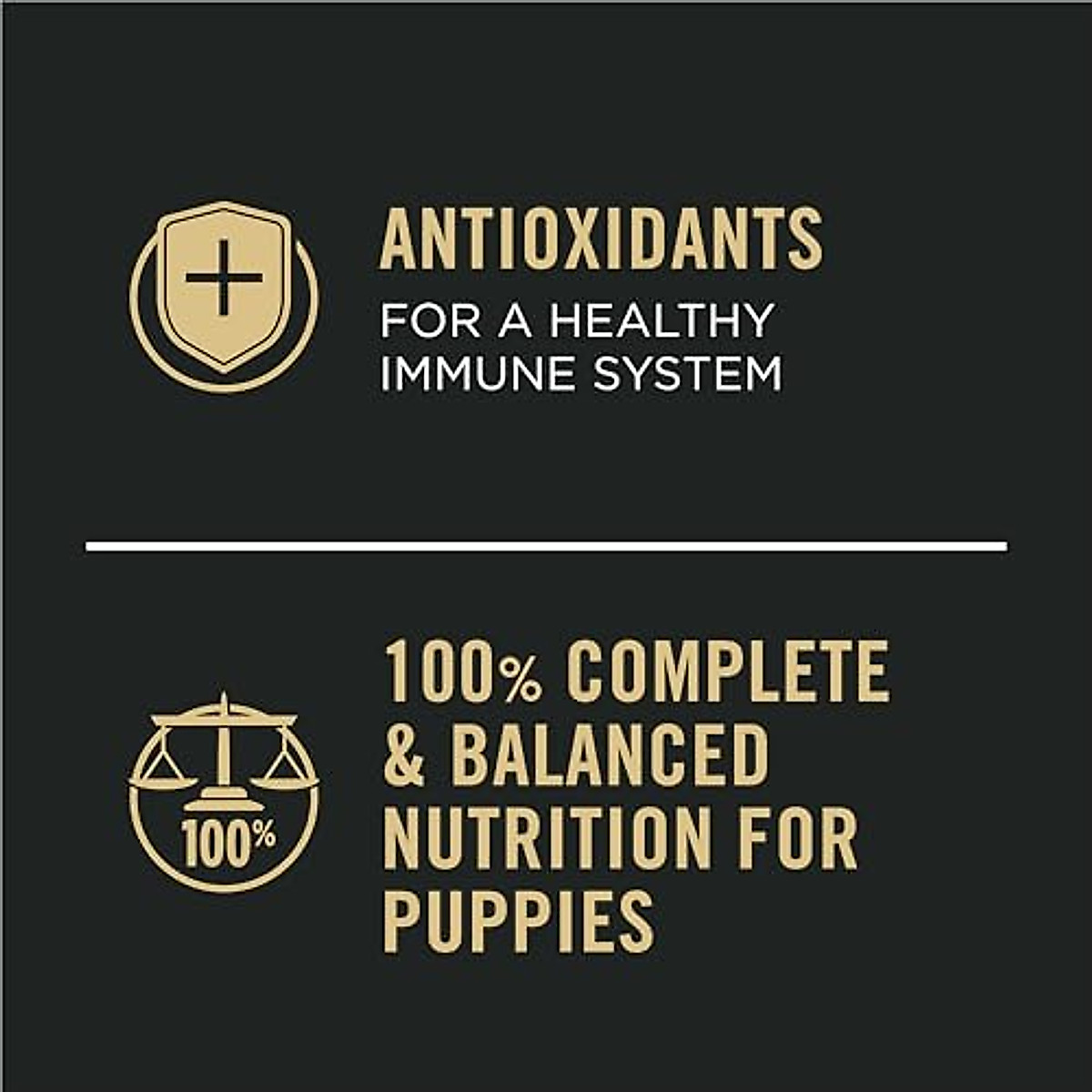 Purina Pro Plan Sport High Protein Puppy Food Beef & Rice Wet Formula - (Pack of 12) 13 oz. Cans