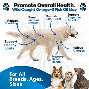Omega 3 Fish Oil for Dogs - Better Than Salmon Oil for Dogs - Dog Fish Oil Supplement for Shedding, Allergy, Itch Relief - Supports Dry Skin, Joints - Dog Skin and Coat Supplement - Fish Oil Liquid