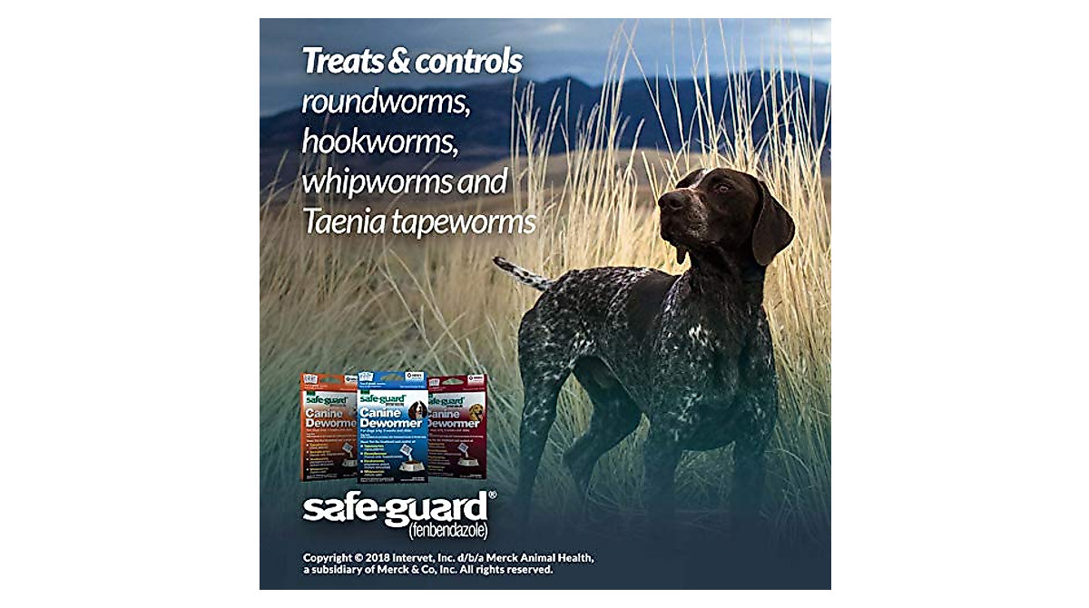 Safe-Guard Canine Dewormer - Effective Dog Treatment