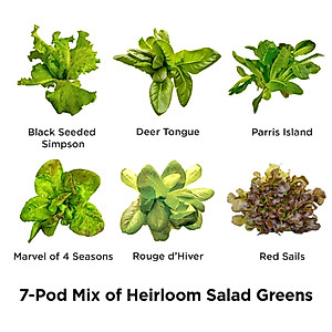 AeroGarden Heirloom Salad Greens Seed Kit, 7-pod, White