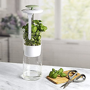 Goodful Herb Keeper Preserver, Designed for Optimum Breathable Airflow for Maximum Freshness, Water Line Ensures the Use of the Right Amount of Water, Stores in your Refrigerator