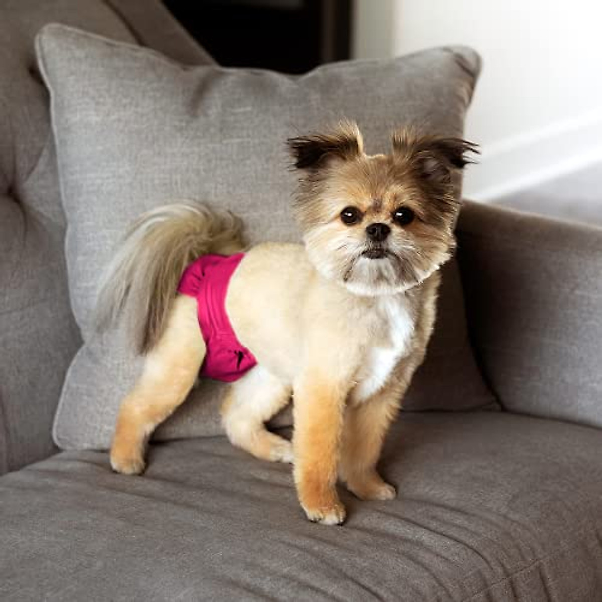 Pet Parents Premium Washable Dog Diapers & Extendrs, (3pack) of Female Dog Diapers, Color: Princess, Size: Extra Large Dog Diapers