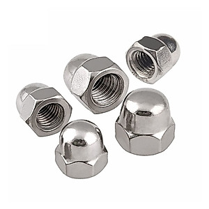 TNDYIG 10pcs/lot Acorn Cap Nut M3 M4 M5 M6 M8 M10 M12 M14 M16 M18 A2-70 Stainless Steel Decorative Cap Nuts Caps Covers (Size : M5)