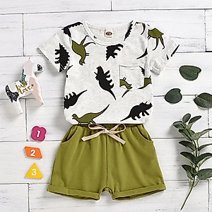 2T Boys Clothes Toddler Boys Summer Outfits Dinosaur T-Shirt & Shorts Set 2 Piece，Green Dino 2-3T/90cm