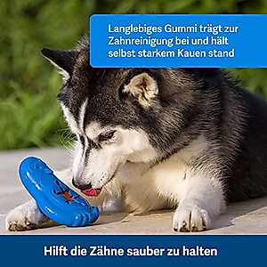 PetSafe Freezable Treat Food Dispensing Chew Toy, Medium/Large, Chilly Penguin