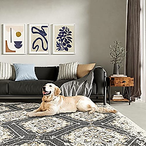 ODIKA 4 * 6 ft Cashmere Area Rug, Bohemian Style, Living Room, Bedroom, Distressed
