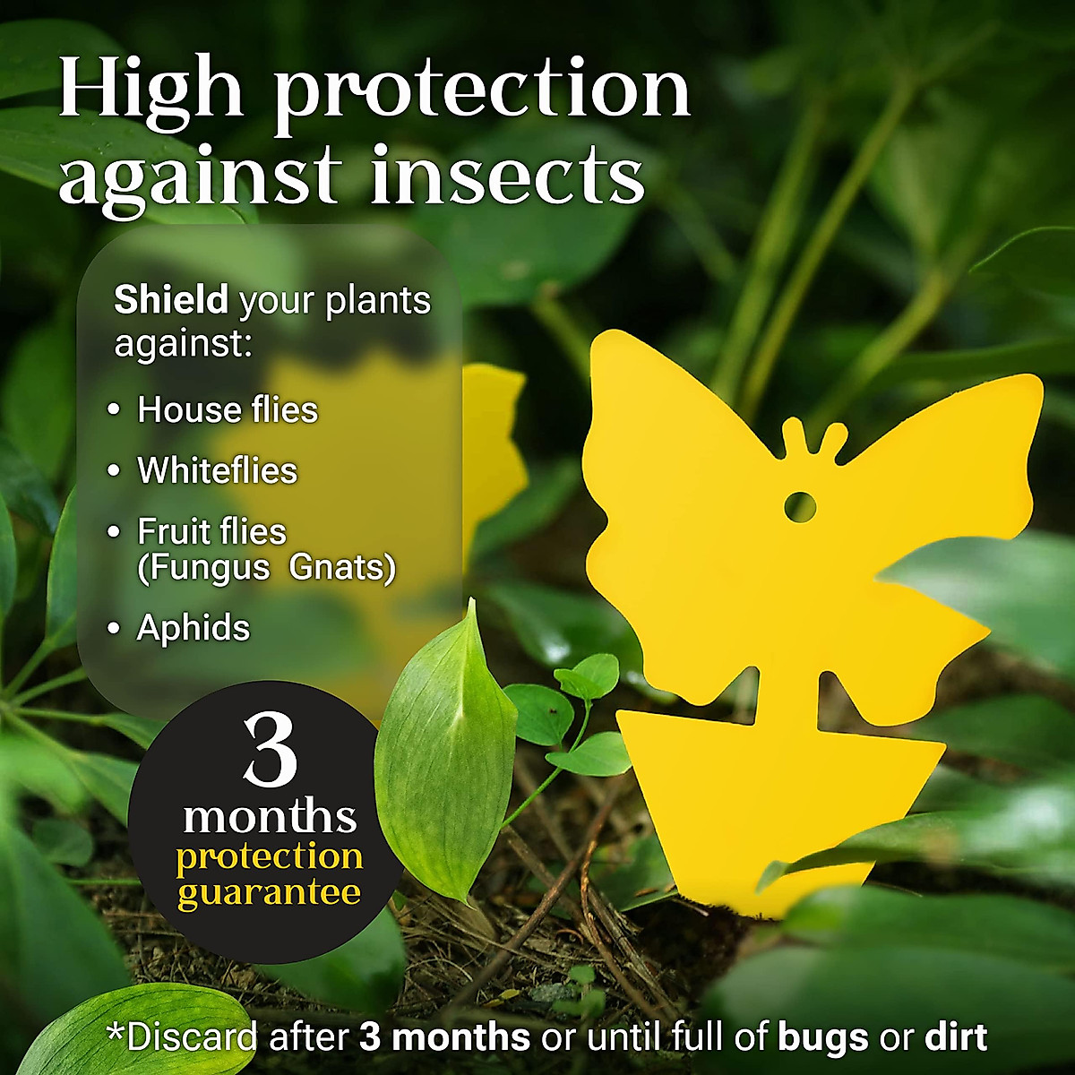 Premium Fruit Fly Traps | Double Sided Gnat Traps | Waterproof Yellow Sticky Traps are Great Outdoors | Also for Fungus Gnats, Aphids, Flies, Moths and Spiders | Pack of 25