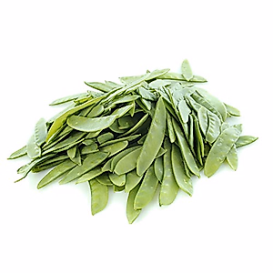 Mammoth Melting Sugar Snow Pea Seeds for Planting, 50+ Heirloom Seeds Per Packet, (Isla's Garden Seeds), Non GMO Seeds, Botanical Name: Pisum sativum, Great Home Garden Gift