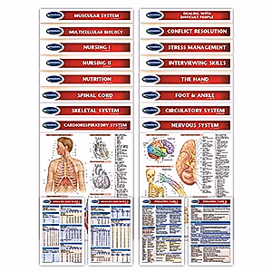 Permacharts Nursing, BSN, Registered Nursing Year 1 Curriculum Essential Quick Reference Guides - 20 Chart Bundle Medical Nursing Charts Bundle
