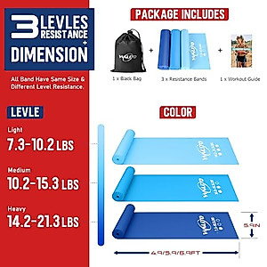WALITO Resistance Bands for Working Out, Exercise Bands for Women and Men, Workout Bands for Physical Therapy, Stretch, Recovery, Pilates, Rehab, Strength Training and Home Gym