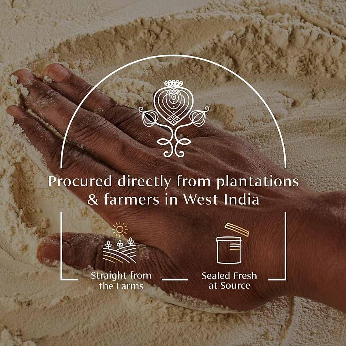 VAHDAM, Organic Onion Powder (2.47oz/70g) Gluten Free, Non GMO, 100% Raw | Aromatic Spice, Perfect for Seasoning, Cooking | Direct from Source