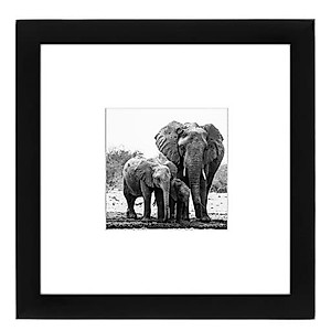 Americanflat 8x8 Picture Frame in Black - Displays 4x4 With Mat and 8x8 Without Mat - Composite Wood with Shatter Resistant Glass - Horizontal and Vertical Formats for Wall and Tabletop