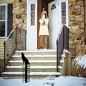 Gift 24cm Snowflake Snow Measuring Instrument Snowmobile Snow Measuring Instrument Metal Snow Measuring Ruler Outdoor Garden Ornament Smart Leveler (Black, One Size)