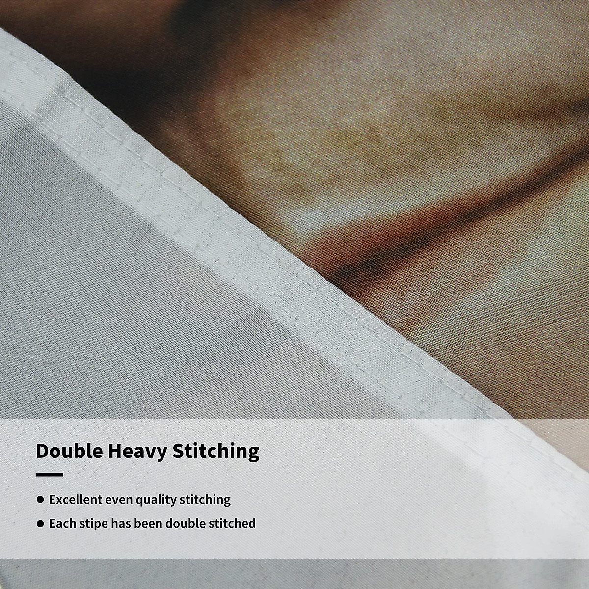 Tax This Dick Flag Benjamin Franklin Quotation 3x5 Feet Banner Funny Poster Durable Man Cave Wall Decor Flags with Brass Grommets for College Dorm Room Decoration,Outdoor,Parties,Home,Bedroom,Indoor