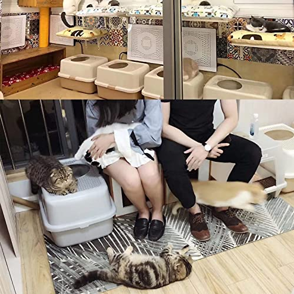 Smart Paws Cat Litter Box,Large Cat Litter Box with Lid,Kitten Litter Box,Cat Box (Coffee)