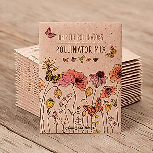 Bentley Seeds Pollinator Seed Mix - Pre-Filled, Non-GMO, Non-Coated Butterfly Seed Packets - 25 Annual Wildflower Seed Packs - Perfect Eco-Friendly Gift