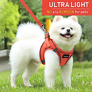 GAMUDA Small Pet Harness Collar and Leash Set, Step in No Chock No Pull Linen Fabric Soft Mesh Dog Vest Harnesses Reflective for Dogs Puppy Cats Kitten Rabbit (Orange, S)